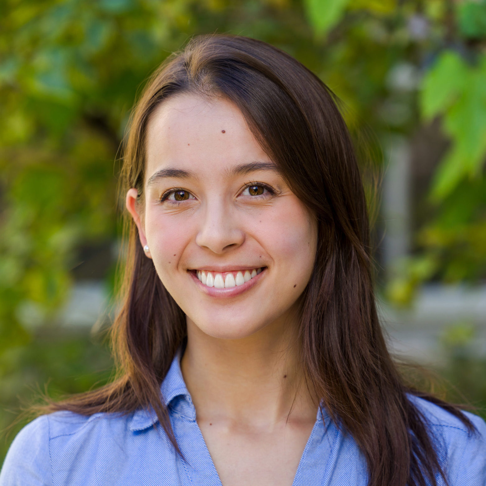 Isabelle - ArborBridge